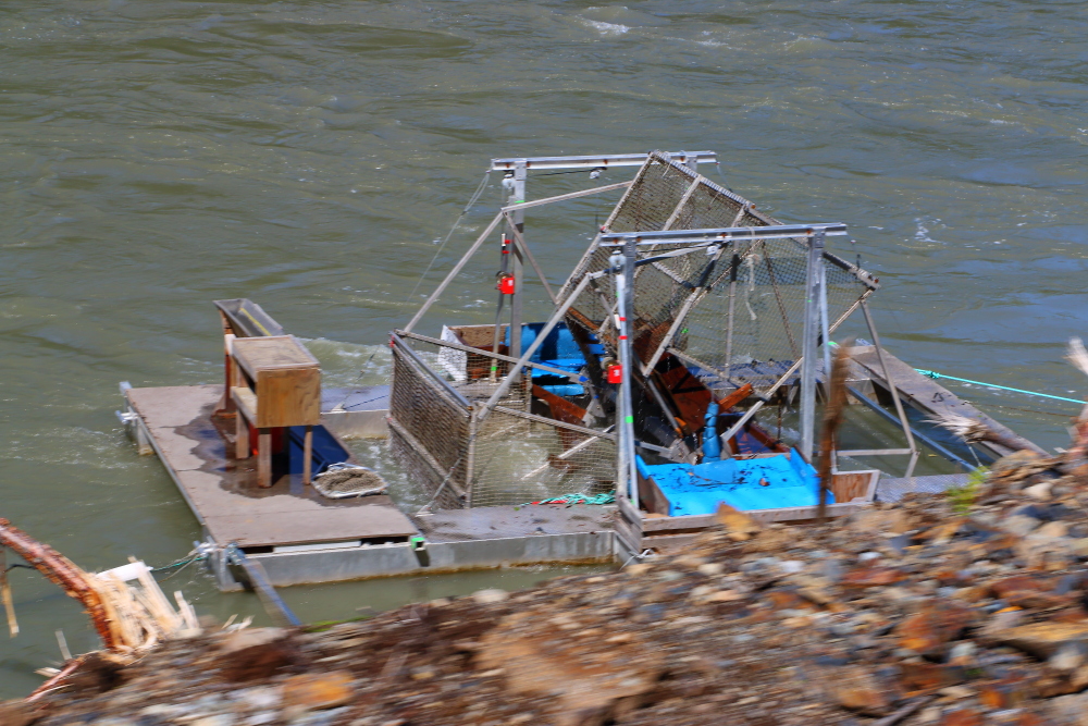 Princess Alaska Cruisetour Review