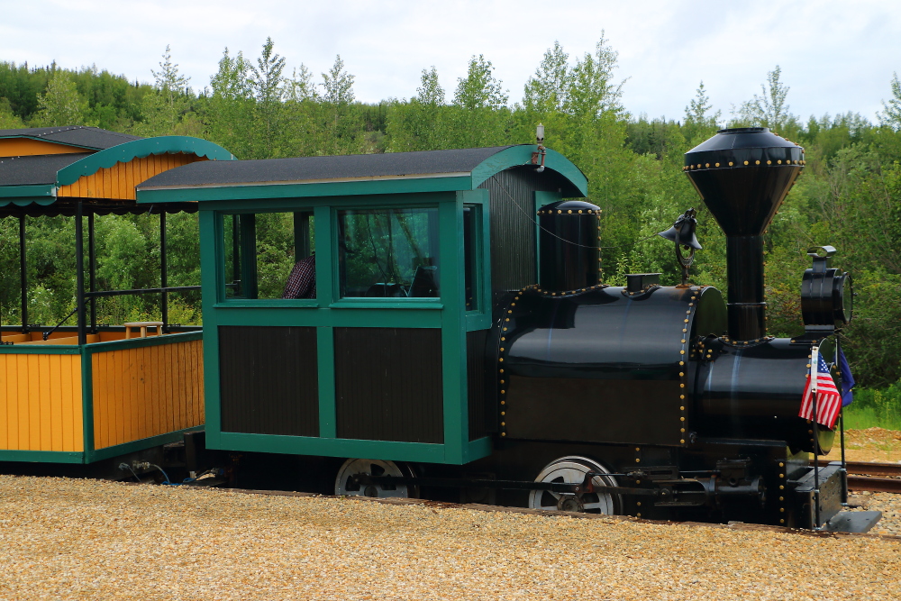 Princess Alaska Cruisetour Review